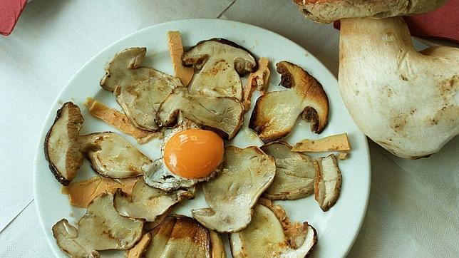 Excelentes restaurantes en España para comer setas