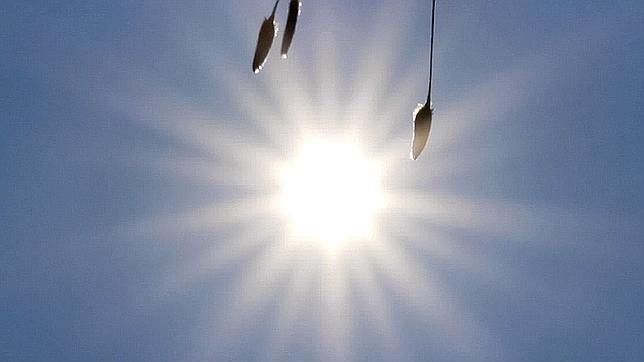Curiosidades sobre el sol que debes saber para disfrutarlo al máximo