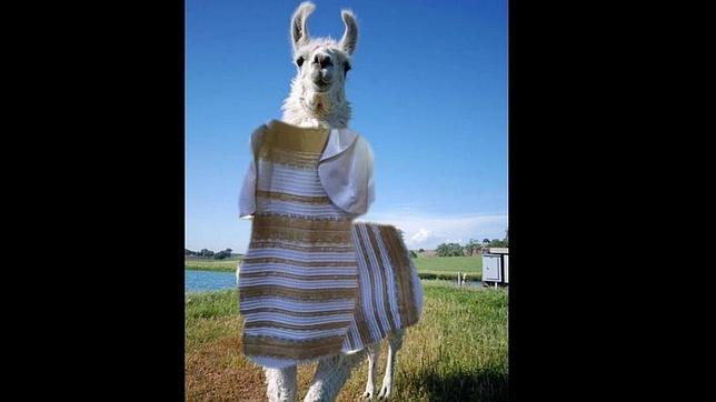 Los mejores «memes» del vestido viral
