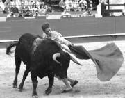 César Jiménez puede ser torero