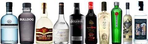 Las diez mejores ginebras