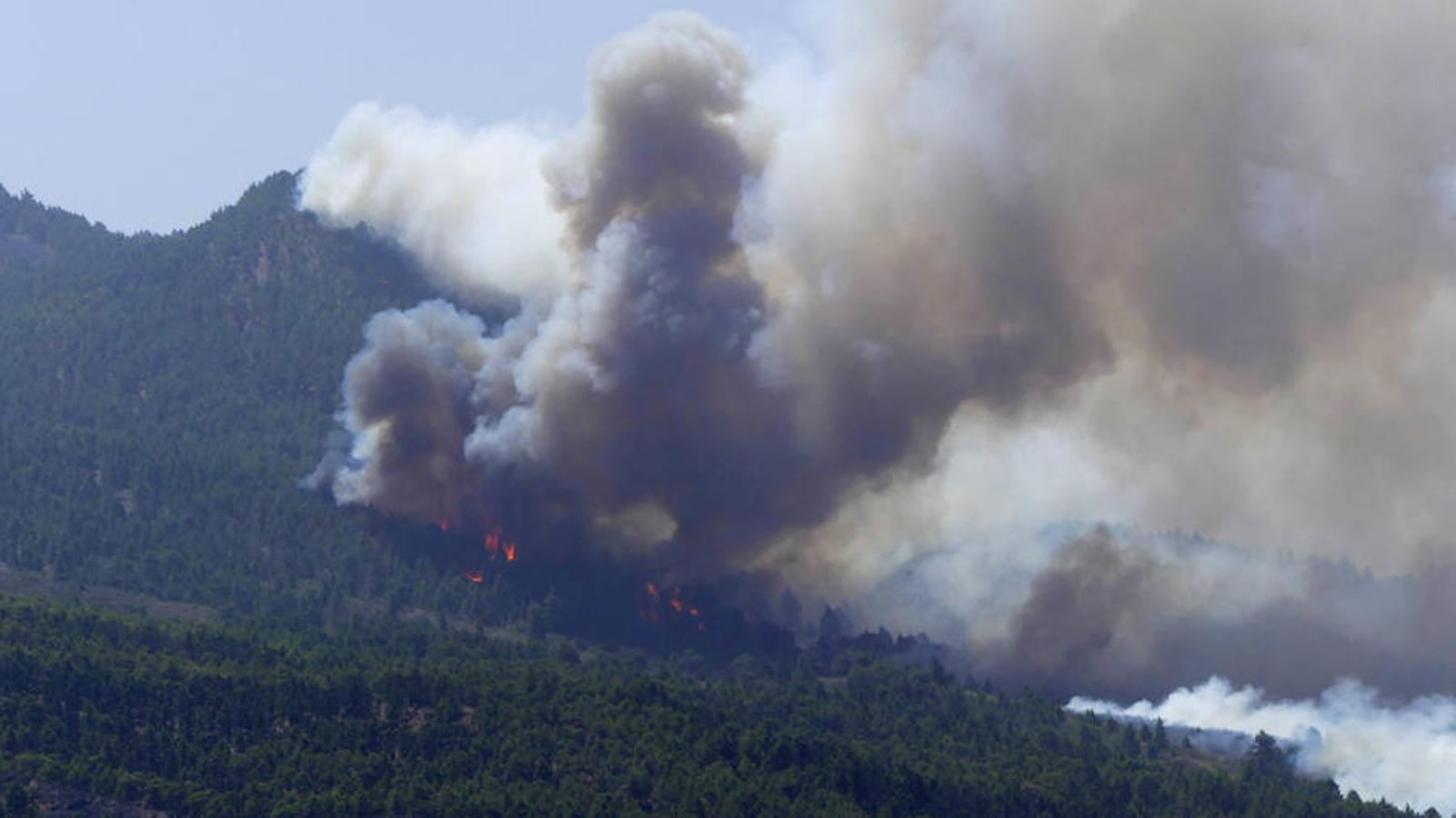 En imágenes: el incendio de La Palma, lleno de trampas, ha quemado ya 1 ...