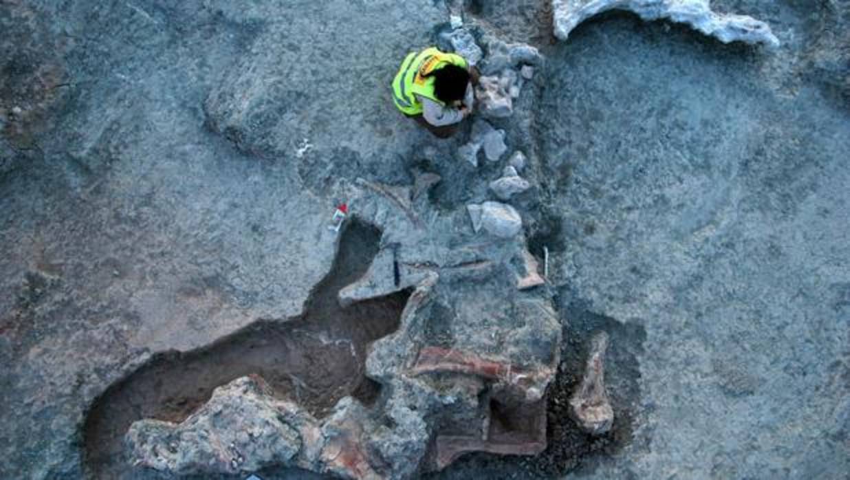 Yacimiento de Lo Hueco: 10 años de dinosaurios en Cuenca