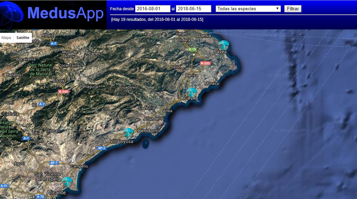 Una app alerta de dónde hay medusas en un mapa