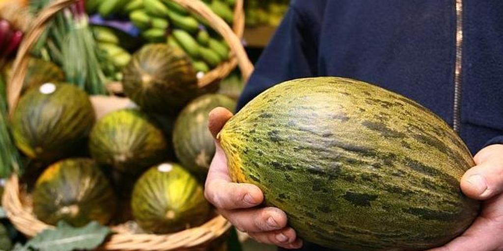 CORONAVIRUS: Suspenden la V Feria Regional del Melón que se iba a ...