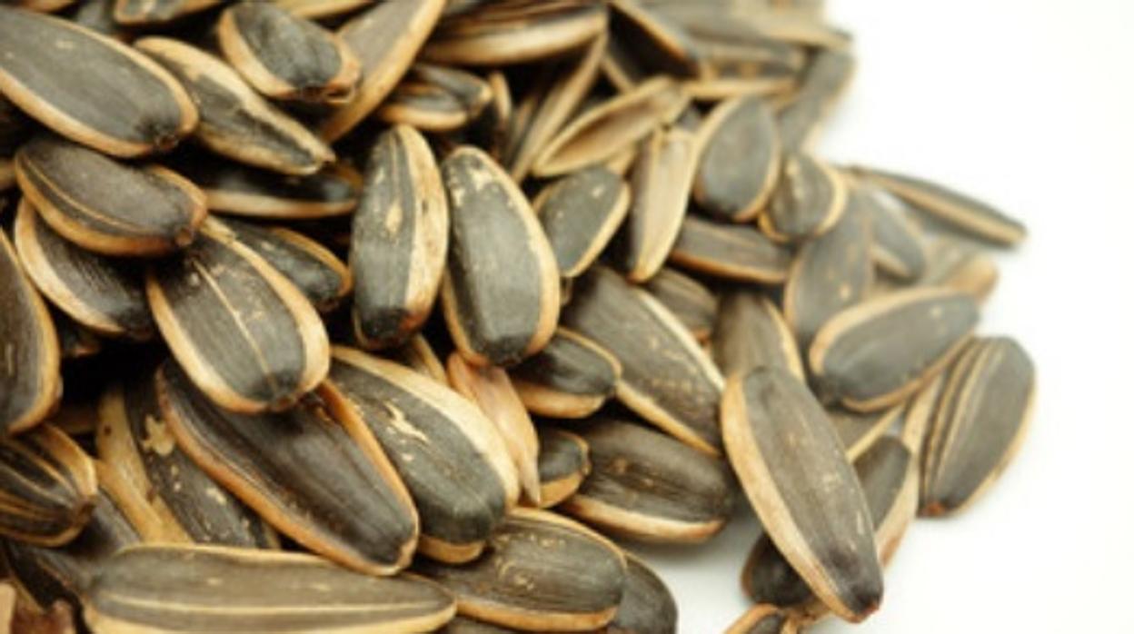 Los motivos por los que las pipas de girasol son el mejor «snack» saludable