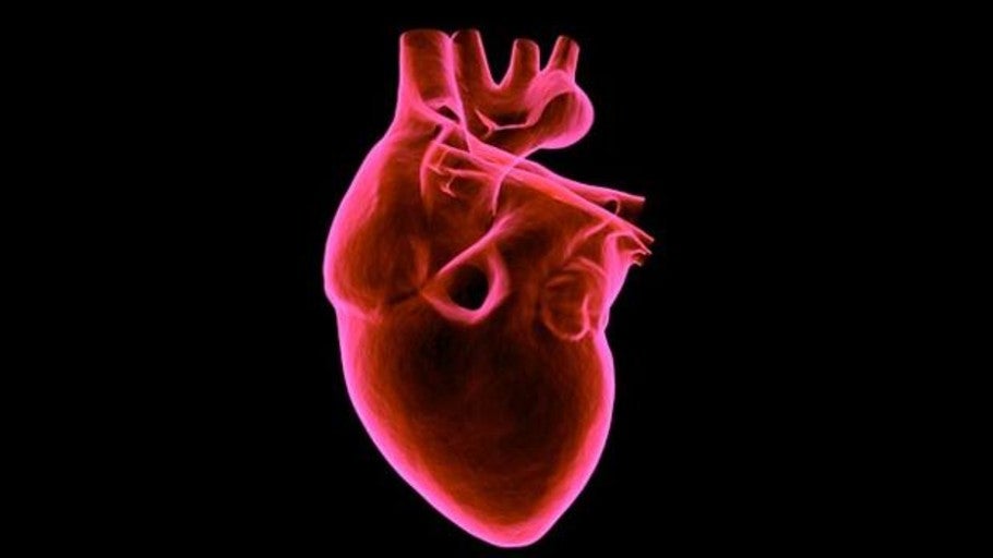 Un estudio revela la necesidad urgente de cuidar los corazones de los ...