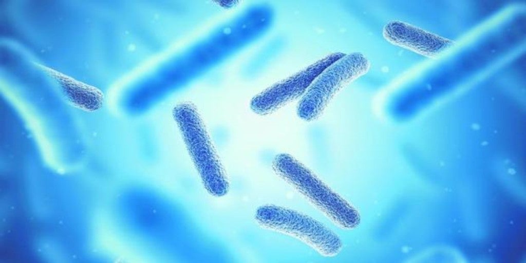 Do viruses, bacteria and molds cause cancer? - Archyde