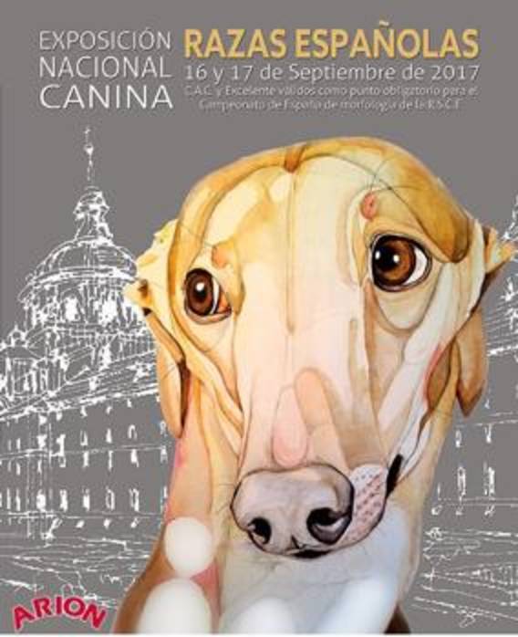 Más de 300 perros participan este fin de semana en la Exposición ...